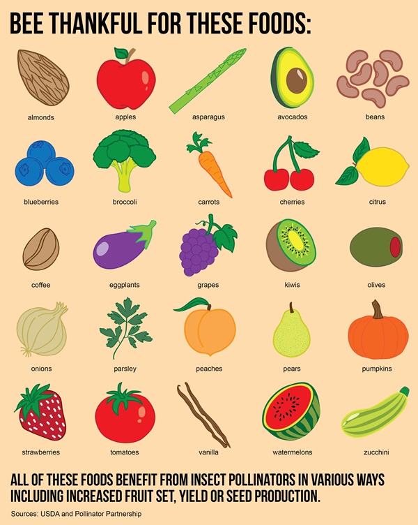 bee-thankful-for-these-foods – Earthwise: Environmental Services Resources