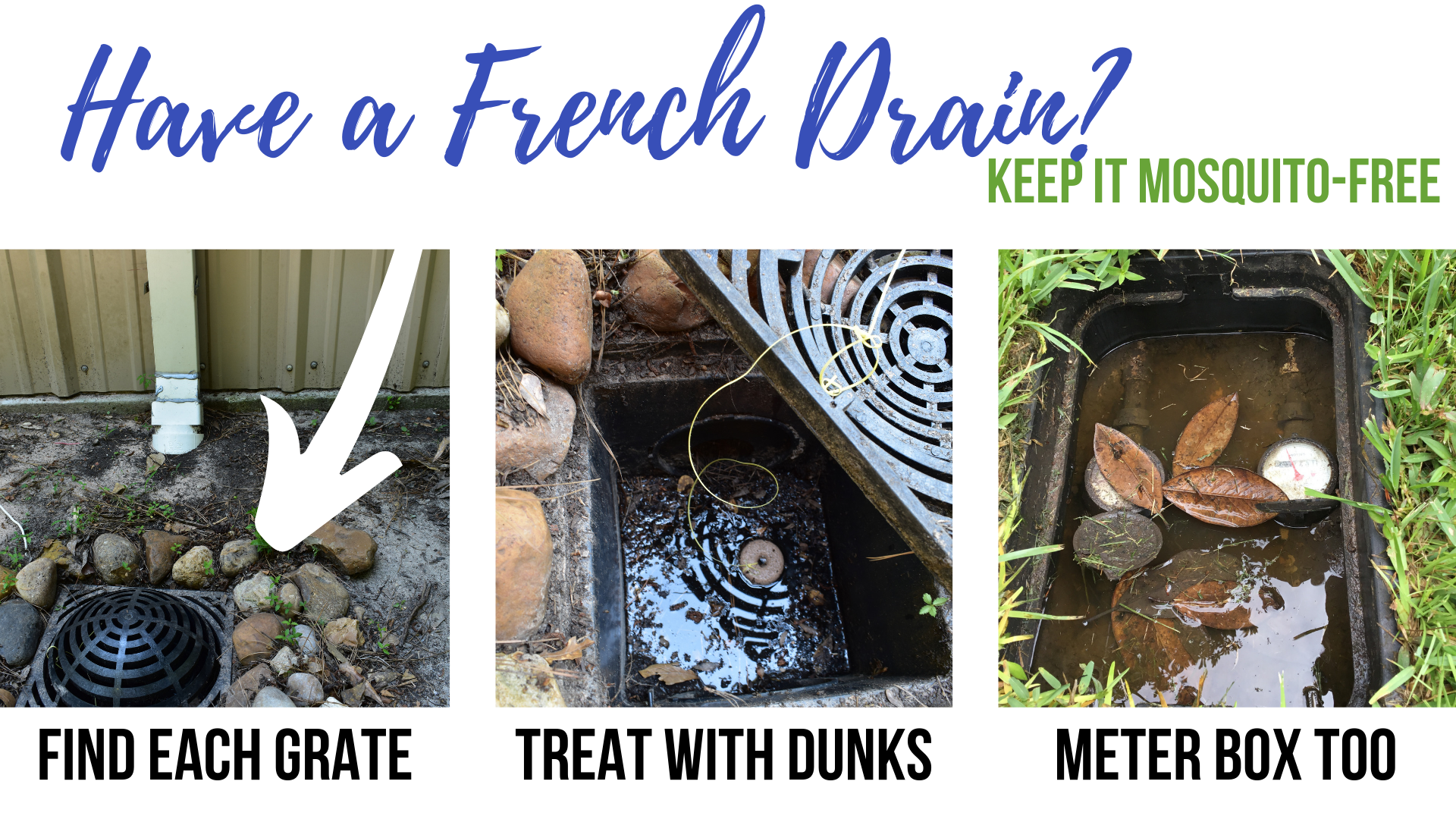 french-drain – Earthwise: Environmental Services Resources