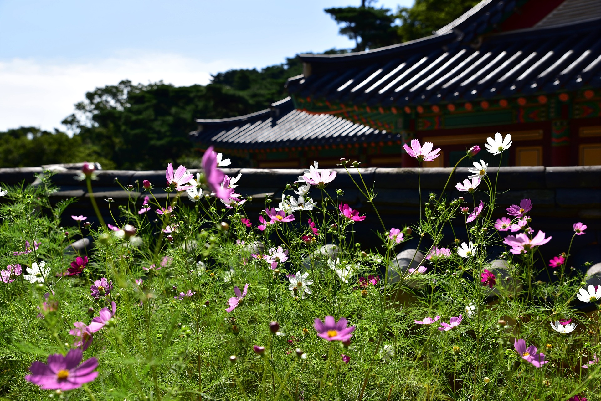 cosmos-temple – Earthwise: Environmental Services Resources
