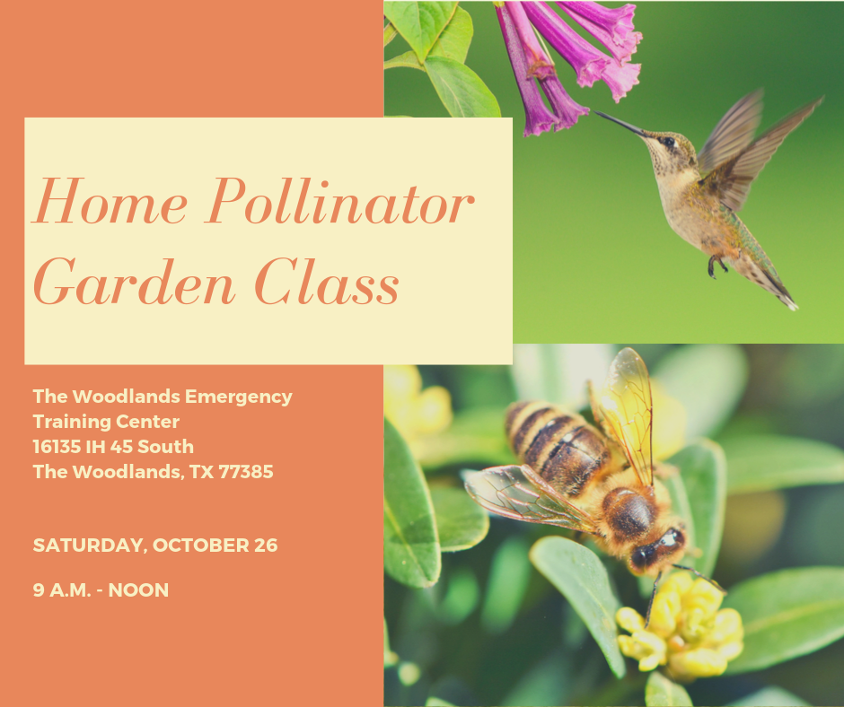 Home Pollinator Gardening Class – Earthwise: Environmental Services ...